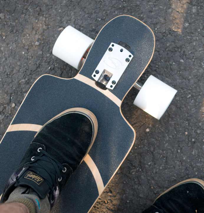 Lush Longboards Freebyrd Woodgrain - Complete